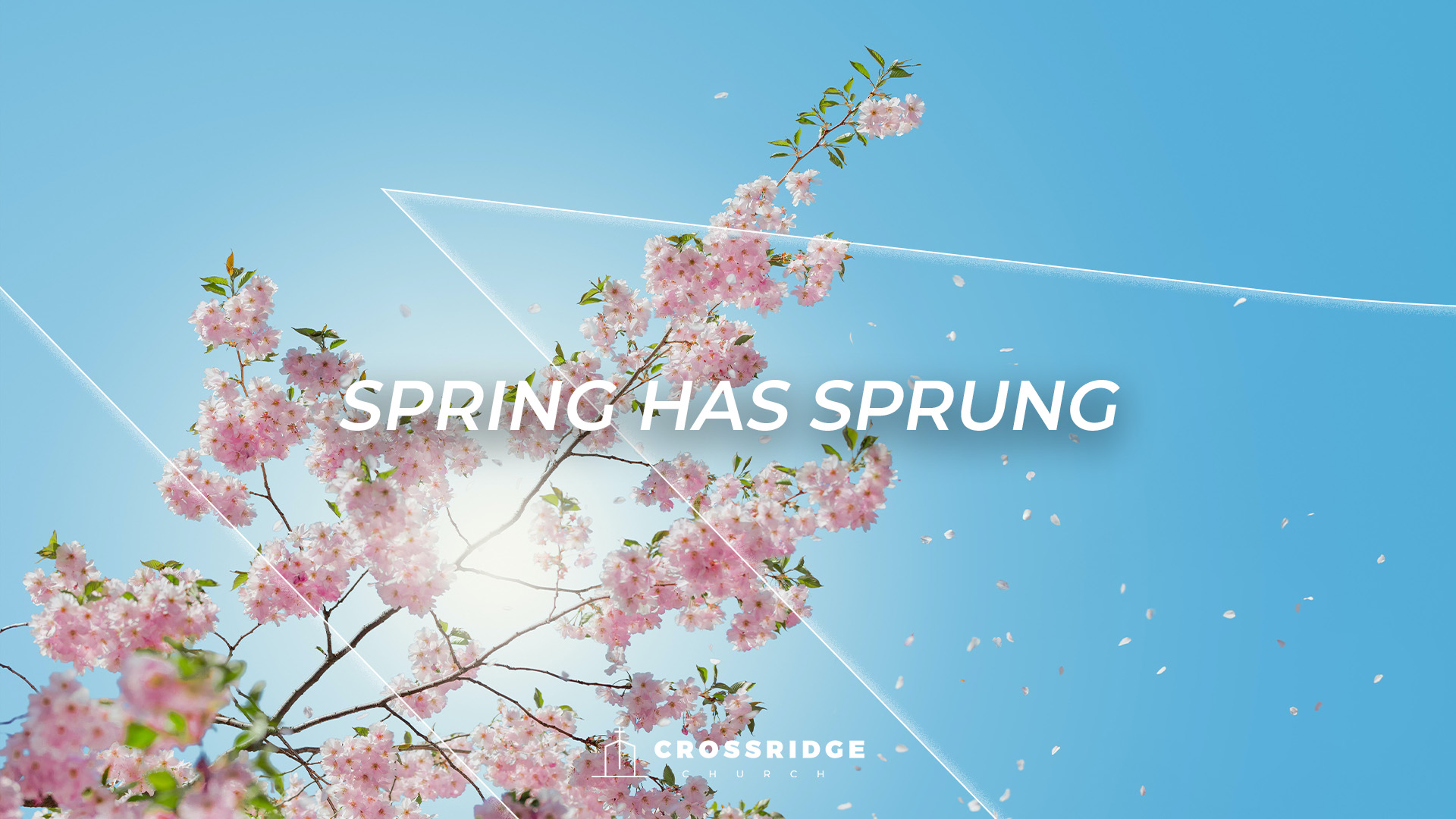 Spring Has Sprung - CrossRidge Church